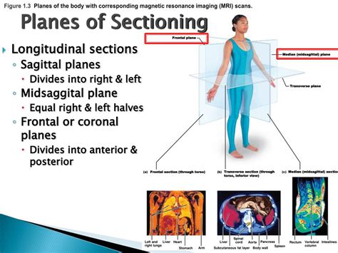 Ppt Safety Contracts Powerpoint Presentation Free Download Id 5528278