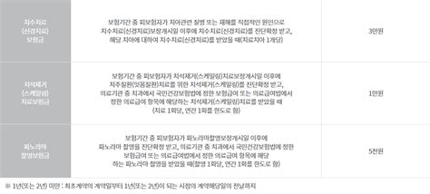 치아보험 순위 비교 Top 5 라이나생명 삼성화재 Aia 메리츠 신한라이프