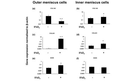 collagen types i and ii and sox9 gene expression in human meniscus