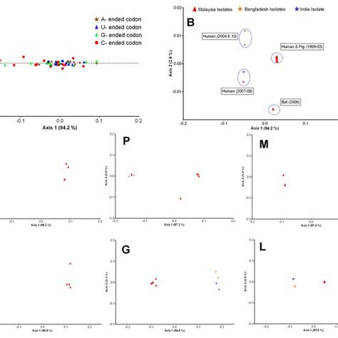 differential codon bias on the coding sequences of henipaviruses the