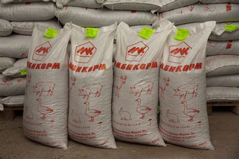 Кормление индюшат с первых дней и до комбикорма