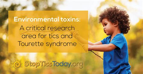 Environmental Toxins A Critical Research Area For Tics And Tourettes