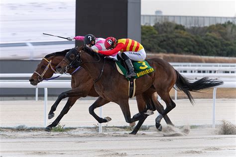 第46回名古屋大賞典jpniii｜web Furlong