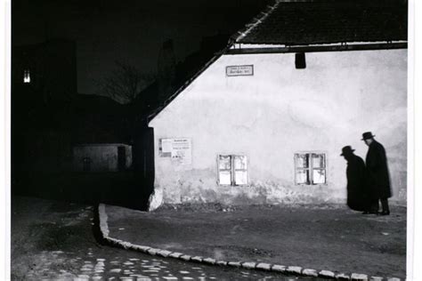 Vito Nikolić Fenomeni