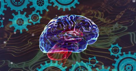 Animation Of Human Brain Cogs And Data Processing And Network Of Connections Stock Footage