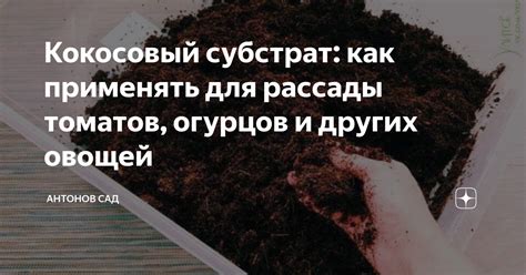 Кокосовый субстрат: как применять для рассады томатов, огурцов и других ...