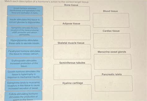 Solved Match Each Description Of A Hormone S Action To The Chegg