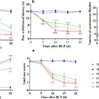 Effects Of The Cell Cycle Inhibitor Flavopiridol Flavo On Pain