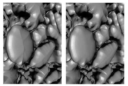 A Column Of Pixel Values Are Interpolated With A Spline That Is