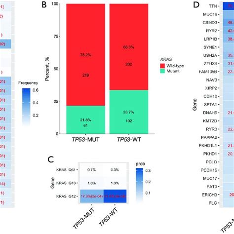 Differences Of Mutant Genes Between Tp53 Mutant Tp53 Muts Group And Download Scientific
