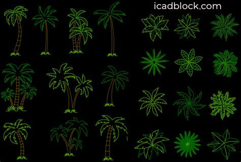 Palm Tree Top View Cad Block Image To U