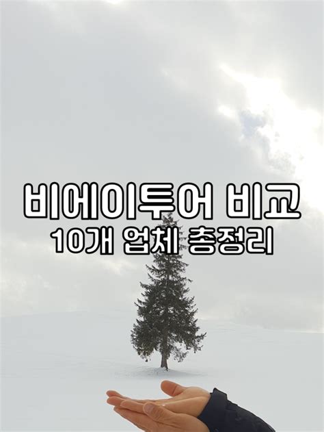 삿포로 비에이투어 추천 버스 투어 예약 10개 업체 비교 총정리 Feat 소규모 네이버 블로그