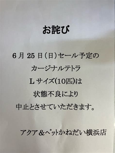 6月25日（日）生体セール一部中止のお知らせ かねだい横浜店 ️ 続々新コーナー登場‼️
