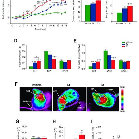 Effects Of Th Treatment On Body Mass Body Composition And Temperature