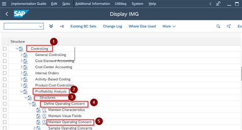SAP CO PA Profbality Analysis