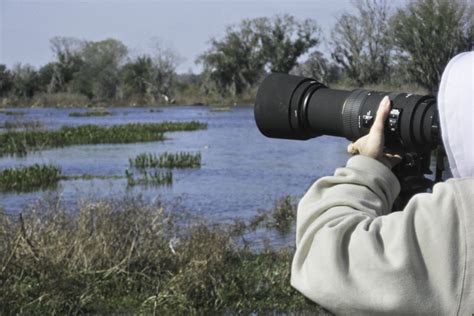 Great Florida Birding Trail