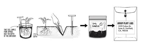 Sample Procedures Soil Media Arvum Plant Labs