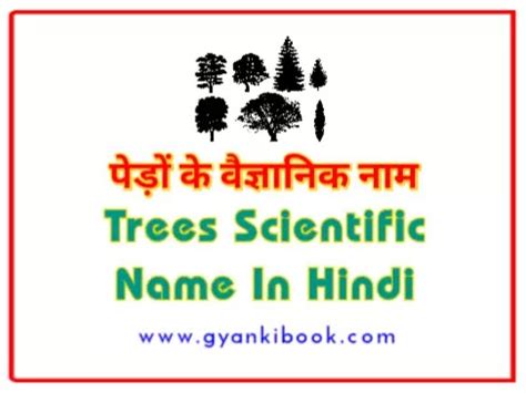 पड क वजञनक नम क लसट Scientific Names Of Tree In Hindi PDF जञन क बक