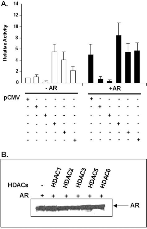 Hdac1 Represses Ar Mediated Transactivation A The Effect Of Class I