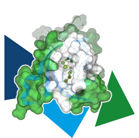 Drug Discovery Solutions • Biosolveit