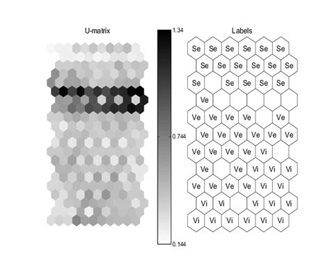 a graphical view of u matrix of iris data indicates 2 clusters on top