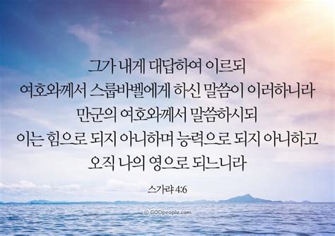 판교신우회 슥4 💎 순금 등잔대와 두 감람나무 6 그가 내게 대답하여 이르되 여호와께서