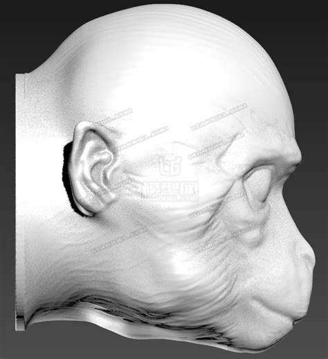 生肖墙饰 猴头 可以直接用于3d打印模型 神话雕塑模型库 模型下载 Cg模型网