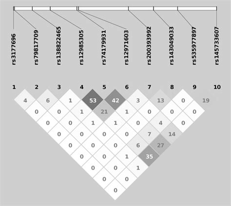 Linkage Disequilibrium Plot Made By The 10 Genotyped Snps Values Of R²