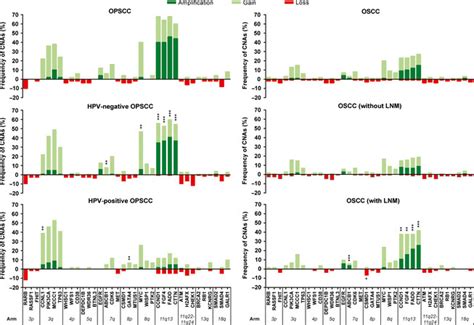 Frequencies Of Copy Number Aberrations Comparison Of Frequency Of Copy Download Scientific