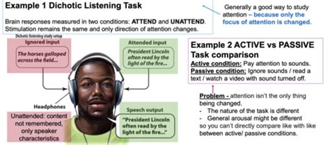 Cog Neuro Lecture 46 Flashcards Quizlet