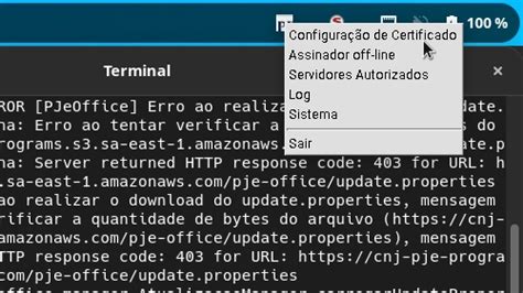 Acessando O Pje Pelo Linux Com Certificado Digital E Pjeoffice Linux