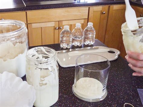 5 Signs Sourdough Starter Is Ready To Bake With Fermenters Kitchen