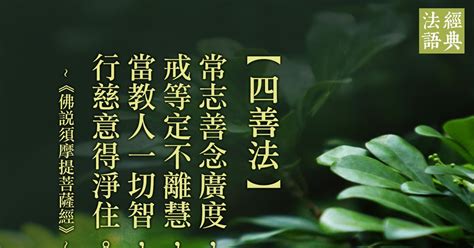 老實修行以戒為師 善心為首