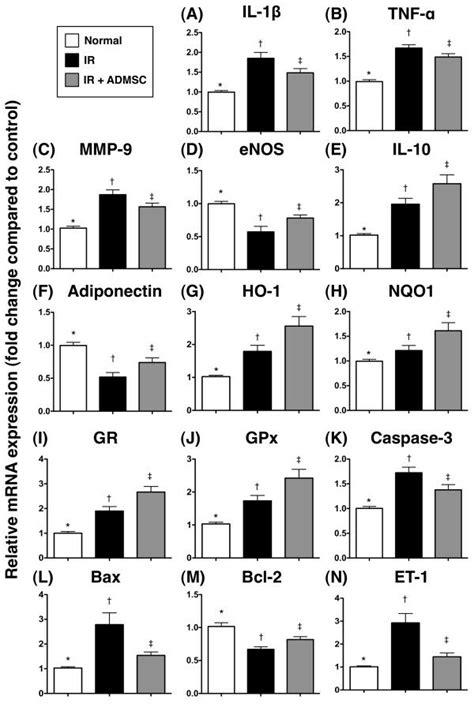 Analysis Of Mrna Expressions Of Il 1β Tnf α Mmp 9 Enos Il 10