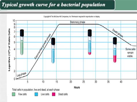 Bacterial Growth Curve Antibiotics