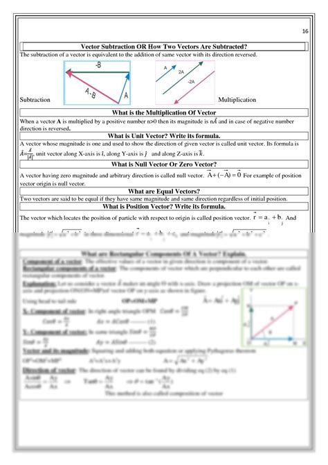 SOLUTION Vector And Scalar Physics Notes Quick Revision Guide Studypool