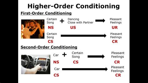 Classical Conditioning Higher Order Conditioning Youtube