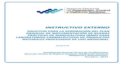 INSTRUCTIVO EXTERNO - · PDF fileFORMATO DEL PLAN GRADUAL DE ...
