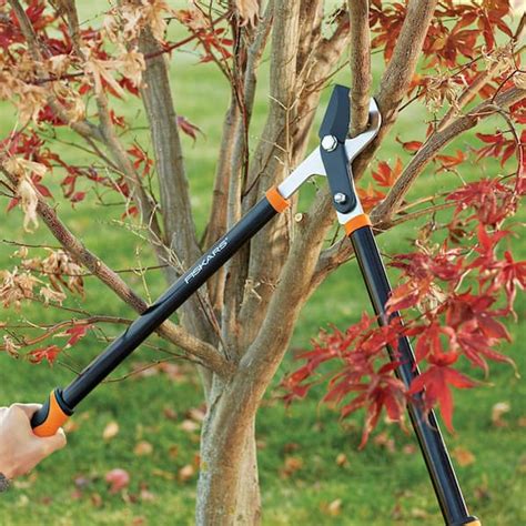 Tree Trimming Tools