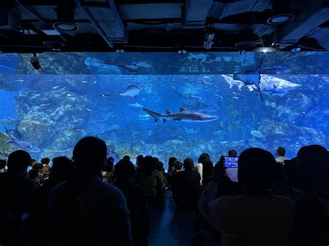 코엑스 아쿠아리움 공식 웹사이트 서울 강남 아쿠아리움