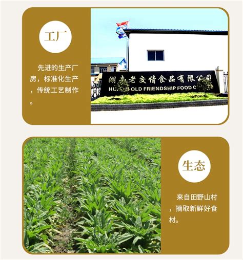 老交情湖南特产下饭菜180g 6脆皮莴笋方便快捷酒店菜半成品 老交情食品 年货团购 湖南长沙华美月饼团购批发 九丰斋月饼 九丰斋粽子 粽子