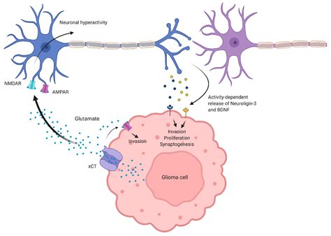 Neuron Cell Grade School