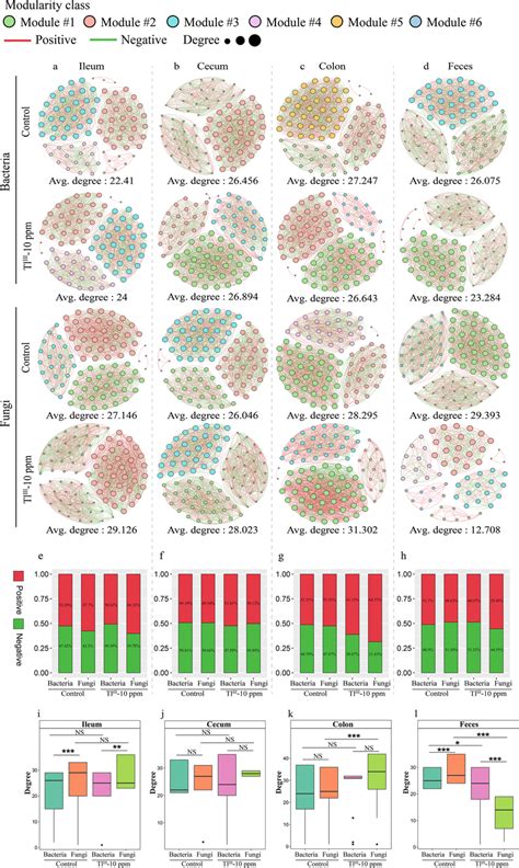 Intra Kingdom Co Occurrence Networks Ad Co‑occurrence Network