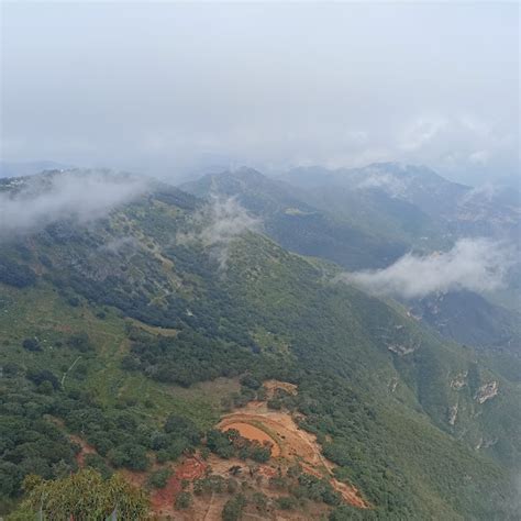 Marco Borras Archdaily