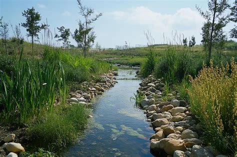 Creating Buffer Zones To Protect Critical Habitats Generative Ai Premium AI Generated Image