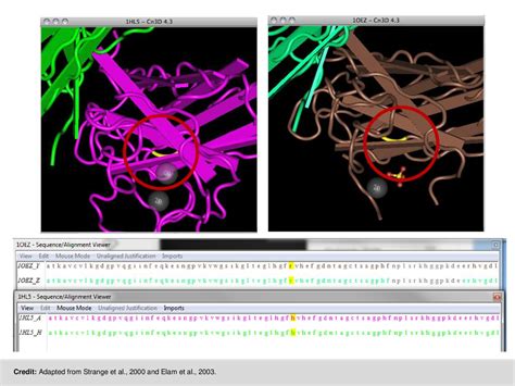 Using Bioinformatics Genetic Testing Ppt Download