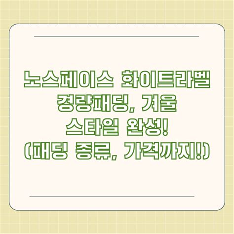 노스페이스 화이트라벨 경량패딩 겨울 스타일 완성 패딩 종류 가격까지