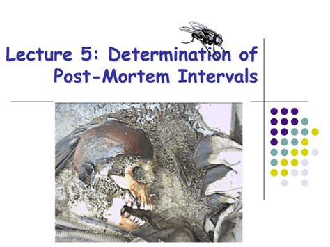 Lecture 5 Determination Of Post Mortem Intervals