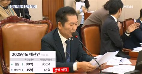 검찰 특활비 0원 법사위 통과국힘 보복성 삭감 반발