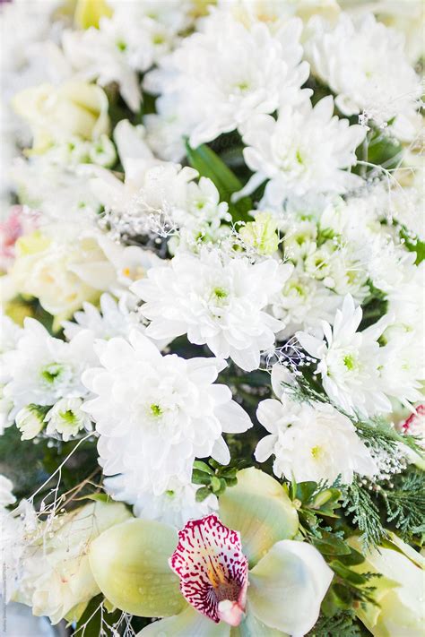 bunch of white decorative flowers by stocksy contributor audshule